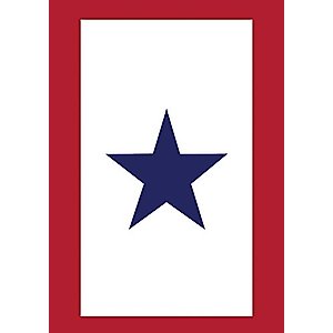 Toland Home Garden 112177 Service Star Flag 12x18 Inch Double Sided Garden Flag for Outdoor House Patriotic Flag Yard Decoration