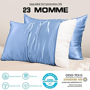 PROMEED Natural 23 Momme Silk Toddler Pillowcase for Baby Hair and Skin, Fits Pillow 13x18, Both Sides 100% Mulberry Silk Baby Travel Pillow Cases with Laundry Bag (Toddler/Travel-13 x18, Light Blue)