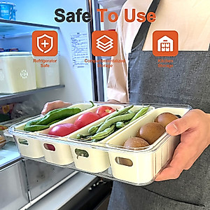 Edovagixa Veggie Tray Snackle Box Container: 4 Compartment Divided Serving Tray with Lid & Handle - Airtight Food Friut Snacks Storage Containers,Snack Box Candy Organizer for Picnic Travel Party