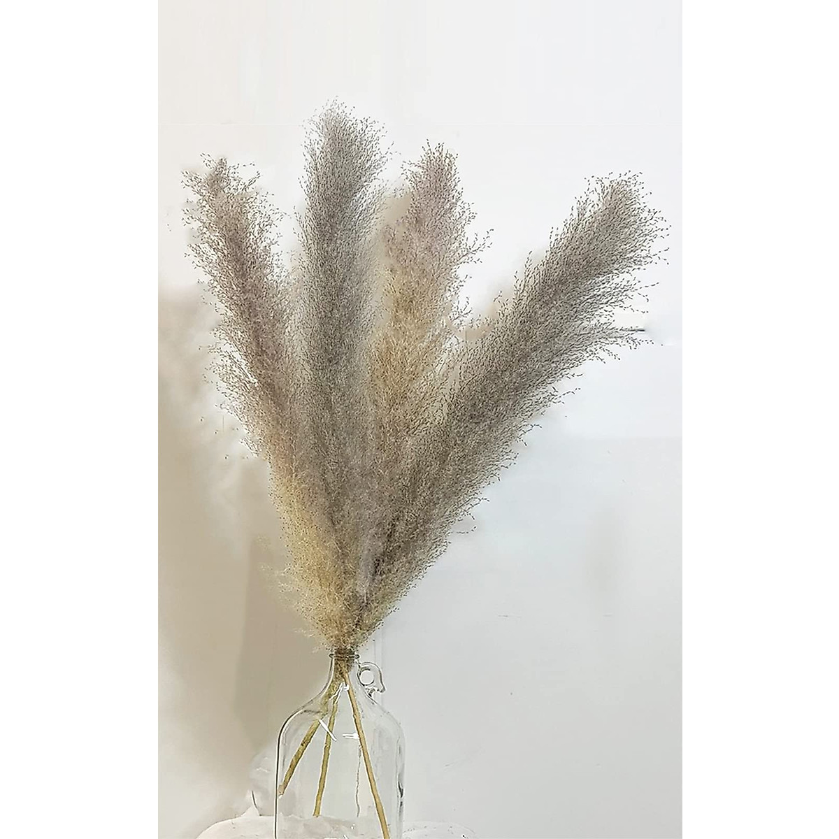 Natural & Dried Pampas Grass Plant Tall Gray 48"/120Cm 5 Stem 27+ Inch Plume for Flower Arrangement & Vase Decoration – Boho Bohemian Garden & Farmhouse Luxury Decor for Home,Wedding
