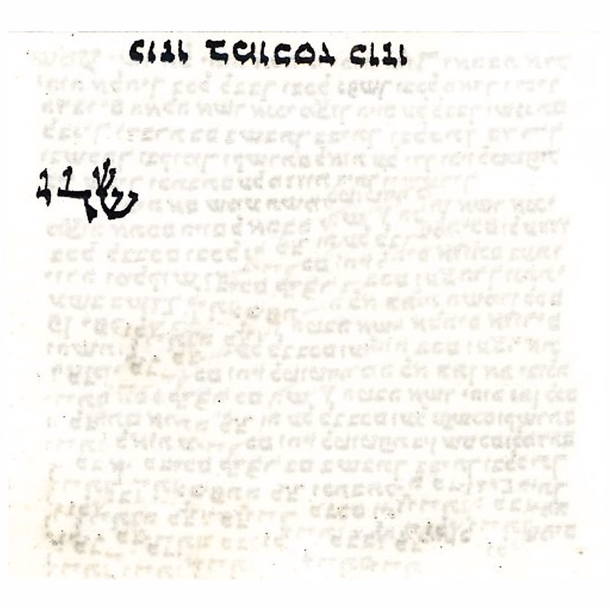 Holy Land Market Two Non Kosher Scroll/Parchment/Klaf or Scroll for Standard Size Mezuzah Cases - from Israel (4 x 4 Inches)