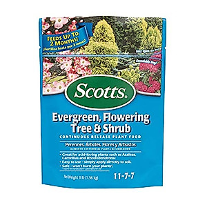 Scotts 1009101 Evergreen Flowering Tree & Shrub Food 3 Lbs