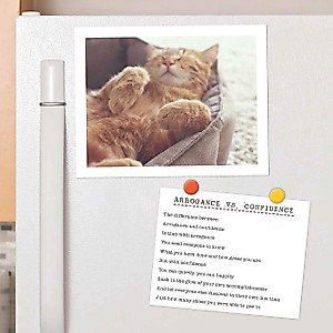 I Could Pee on This 2021 Wall Calendar: (Funny Cat Calendar, Monthly Calendar with Hilarious Kitty Pictures and Poems)
