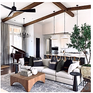 Monte Carlo 3ADR60BKBK Adler 60" Ceiling Fan with Remote Control, 3 ABS Blades, Matte Black