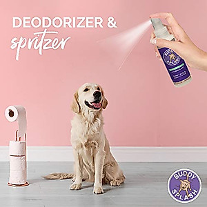 Buddy Biscuits Splash Dog Deodorizer & Conditioner, Easy Spray On with Botanical Extracts, Lavender & Mint 16 oz (15402)