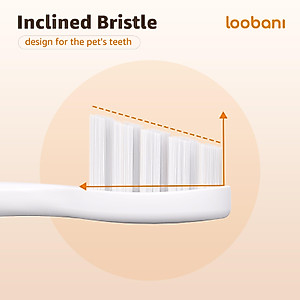 LOOBANI 2 Packs Dog Tooth Brush Replacement - Compatible LBHC001 Dog Tooth Cleaner, White