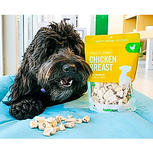 Healthy Spot / Mind Body Bowl - 2.5 oz Chicken Breast Freeze-Dried Treats - Healthy Snacks for Dogs and Cats, 1 Pack