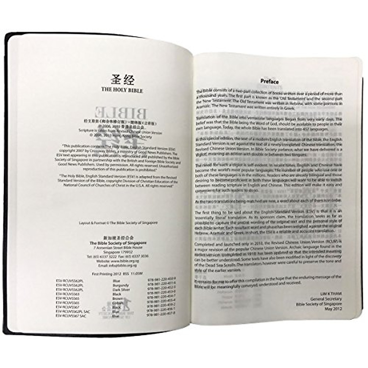 Bilingual English Chinese Holy Bible / English Standard Version - Revised Chinese Union Version, Simplified Chinese / ESV/RCUV / Blue Pearl Vinyl with Golden Edges, Maps, Large Chinese Characters