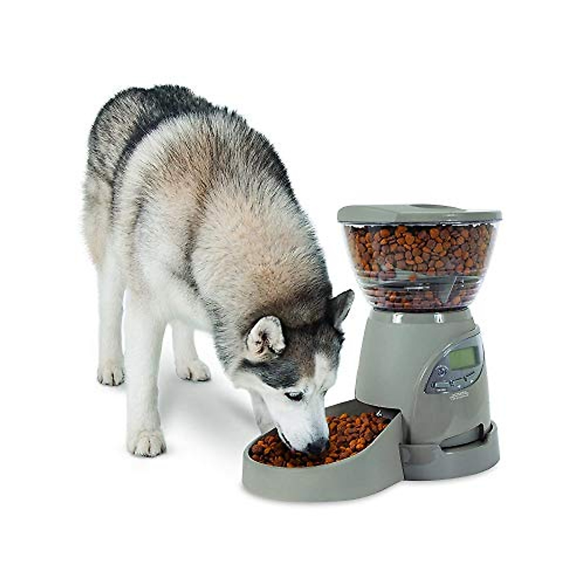 Petmate Portion Right Programmable Dog and Cat Feeder 2 Sizes Brushed Nickel