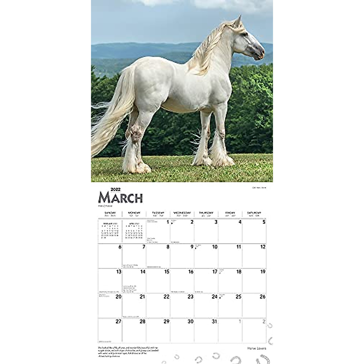 Horse Lovers 2022 12 x 12 Inch Monthly Square Wall Calendar with Foil Stamped Cover, Animals Equestrian