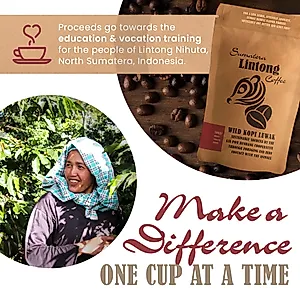 Wild Kopi Luwak, the World’s Most Exclusive Coffee, Sustainably Sourced From Sumatra, Indonesia (100gr / 3.5oz)