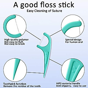 FAMILIFE Floss Picks Mint Dental Floss Picks with 4 Travel Handy Cases 240 Count Flossers