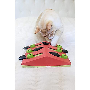 Catstages Nina Ottosson Melon Madness Puzzle & Play - Interactive Cat Treat Puzzle