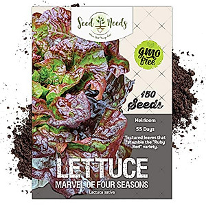 Seed Needs, Butterhead Lettuce Lovers Seed Packet Collection (5 Varieties of Heirloom Lettuce Seeds for Planting) Non-GMO & Untreated - Great for Hydroponics