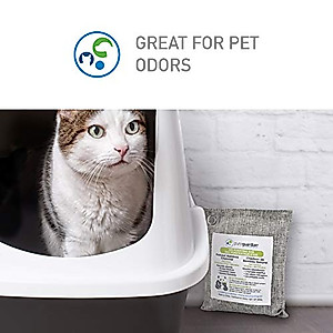 PureGuardian Guardian Technologies CB200 Bamboo Charcoal Air Purifying Bag, Eco-Friendly, Naturally Absorbs Odors, Excess Moisture and Pollutants, 200g, Gray