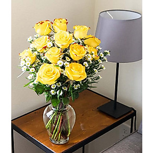 From You Flowers - One Dozen Festive Roses with Glass Vase (Fresh Flowers) Birthday, Anniversary, Get Well, Sympathy, Congratulations, Thank You