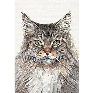 Animal Box: 100 Postcards by 10 Artists (100 postcards of cats, dogs, hens, foxes, lions, tigers and other creatures, 100 designs in a keepsake box)