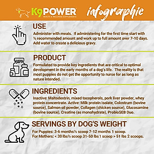 K9 Power Puppy Gold 1 lb - Supplement for Growing Puppies & Nursing Mothers - Essential Nutrients for Healthy Growth & Development - 45 Scoops