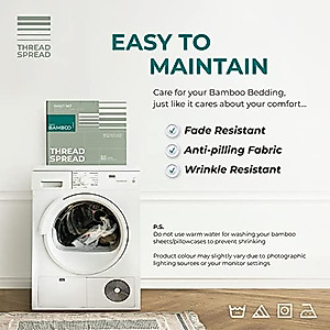 THREAD SPREAD Viscose from Bamboo Sheets, 4 Piece Set, Sheets for Queen Size Bed, with Deep Pocket Fitted Sheet, Soft & Cooling Luxury Sheets, Light Grey Sheets (Queen, Light Grey)