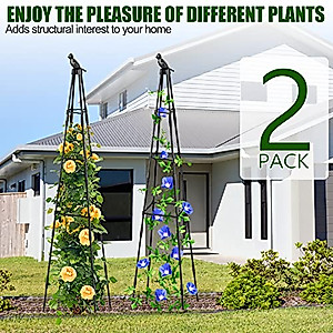 MYard 2 Pack Garden Obelisk Trellis for Climbing Plants Outdoor, 6.5FT Tall Rustproof Metal Plant Support Trellis, Garden Tower Trellis for Potted Plants Flowers Vines Vegetable Indoor Outdoor