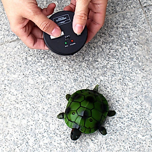 Tipmant RC Turtle IR Remote Control Tortoise Crawl Fake Electric Animal Toy Realistic for Toddler Kids Birthday Gifts (Green)