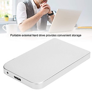 USB to 3.0 2.5 Inch Portable Mobile Hard Drive, 80G 120G 250G 320G 500G 1TB 2TB Universal External Hard Drive for Computer Monitors and Laptop, Silver(320G)