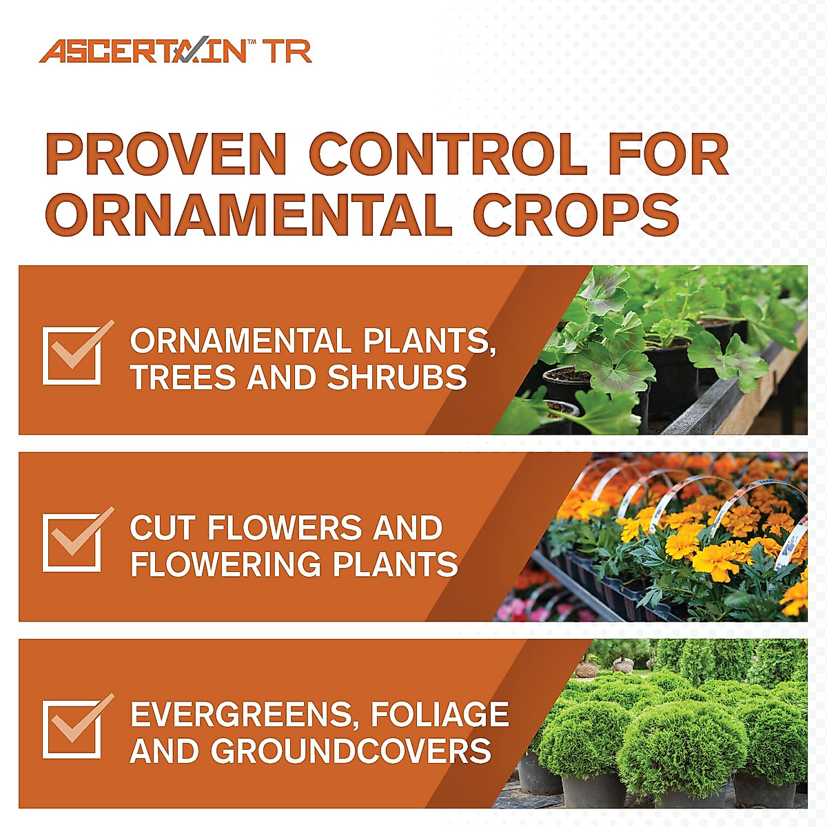 Ascertain TR Greenhouse Fogger (2oz Can) by Atticus (Compare to Attain) - Total Release Bifenthrin Insecticide/Miticide - Controls Mites, Aphids, Thrips, Fungus Gnats, Whiteflies, and Caterpillars (Packaging May Vary)