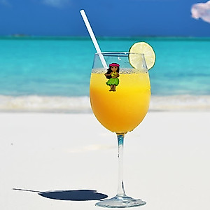 Simply Charmed Hawaiian Beach Magnet Wine Glass Charms - Set of 12 Drink Markers for Stemmed or Stemless Glasses