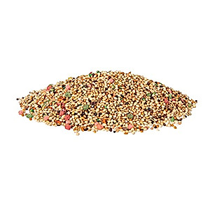 Wild Harvest Daily Blend for Parakeet, Canary, Finch & Small Birds 2lb