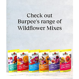 Burpee Cutting 50,000 Bulk, Multi, 1 Bag | 15 Varieties of Non-GMO Flower Perennial Wildflower Seeds Pollinator Mix | Covers 1,000 Sq. Ft, Multicolor