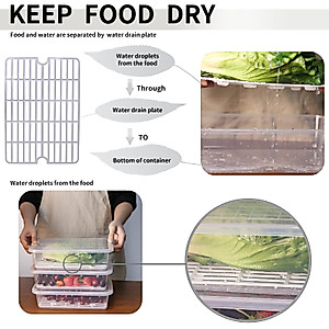 77L Food Storage Container, (3-Pack) Plastic Food Containers with Removable Drain Plate and Lid, Stackable Portable Freezer Storage Containers - Tray to Keep Fruits, Vegetables, Meat and More (Large)