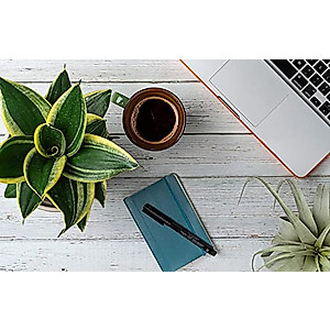 Altman Plants, Live Snake Plant, Sansevieria trifasciata Superba, Fully Rooted Indoor House Plant in Pot, Mother in Law Tongue Sansevieria Plant, Potted Succulent Plant, Houseplant in Potting Soil