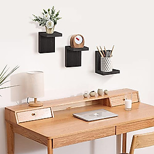 GDYUS Floating Shelves, Wood Small Floating Shelf Wall Mounted, Hanging Display Shelves Set of 3, Wall Shelf for Bedroom Living Room Bathroom Office Decoration