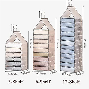 TEGOOL Hanging Closet Organizer, Tier Shelf for Folded Pants Clothes,with Sturdy Hooks Closet Organizers and Storage Bins for Jeans, Trousers,Sweater (9-Shelf)