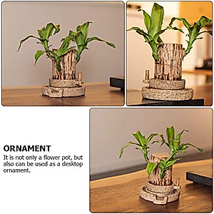 PartyKindom 1pc Ornaments Flower pots for Indoor Plants Planter pots for Indoor House Plants Artificial Plant pots Outdoor Flower pots Mini vase Garden Flowerpot Office Succulents Resin Unique