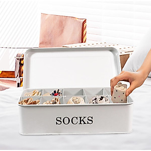Gdfjiy Storage Bin, Metal Storage Organizer with Lid & 10 Adjustable Grids, Socks Drawer Organizer for Closet, Underwear, Panty, Ties, Ornament (White, 12 inches Wide, 1.0 lbs)