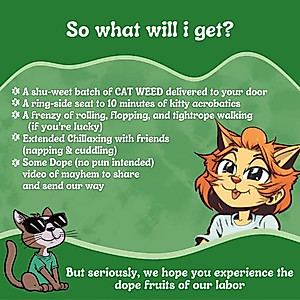 Cat Weed Premium Catnip - All Natural - Maximum Potency Cat Nip - Sprinkle On Your Kittens Favorite Toy Scratch Pad Or Other Refillable Cat Toys - Your Kitty Will Love You