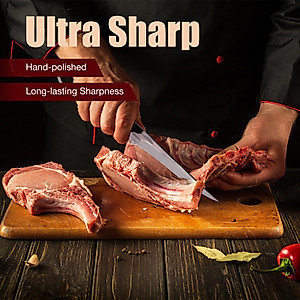 TrDLam Boning Knife, 6 Inch Deboning Knife for Cutting Meat High Carbon Steel Ultra Sharp Full Tang & Ergonomic Japanese Knife, Hand Forged Fish Fillet Knives with Sheath Ideal For Gift