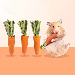 Eyomii Small Pet Molar Supplies Hamster Treats Rabbit Chew Toys Small Animal Chew Carrots All Natural Nutritious Molar Toys for Rabbit/Hamster/Guinea Pigs