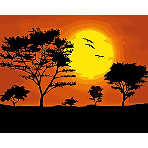 Wizardi 40cm x 50cm Paint by Numbers Kit with Stretched Canvas on Wood Frame (Sunset - 11 Colours)