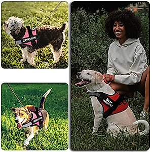 Custom Patch 2 Pieces Dog Vest Patches, Personalized Removable Tactical Patches for Dog Harness Service Dog in Training and Dog Halter Patches with Hook and Loop