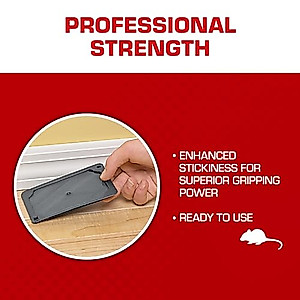 Tomcat Mouse Trap with Immediate Grip Glue for Mice, Cockroaches, Spiders, and Scorpions, Ready-To-Use, 4 Traps