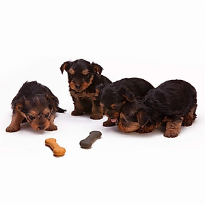 Julius Studio 9 x 13 ft. White, Black, Green Chromakey Background Backdrop Screen Bundle, Premium High Density > 150GSM Fabric A+ Grade, Wrinkle Resistant, Video Studio, Party, Events, PROMO05_AM1