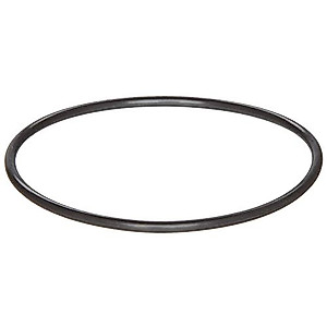 Beaver Island Parts Co. fits STA-RITE 14971-SM20E7 2” Cover O-Ring