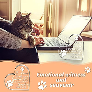 Pet Memorial Gift Pet Keepsake Gift Sympathy Gift for Loss Remembrance Gifts Cat Memorial Gifts Bereavement Crystal Acrylic Heart Decor Crystal Acrylic Heart Condolence Gifts for Loss of Loved One