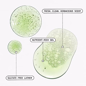 Youth To The People Kale + Green Tea Facial Cleanser - Gentle Superfood Blend of Spinach, Alfalfa, Vitamins C + E - Pore Minimizer, Makeup Remover & pH Balanced Gel Face Wash for Glowing Skin (8oz)