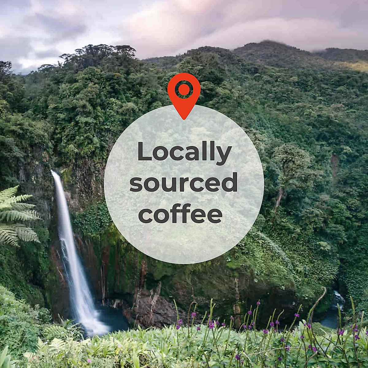 Coffee from Costa Rica Medium Roast Ground - 1 bag (12oz) - 100% Fresh Arabica Beans - by Liquid Gold - Local Athentic Sourced Coffee from Costa Rican Farmers