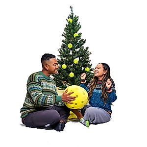 TILTECH Pickleball Pillow - Huggable Plush Pickleball Cushion, 12" Soft & Comfortable Stuffed Pickleball Gift, Realistic and Funny Pillow, Gifts for Pickleball Lovers, Sports Pillow