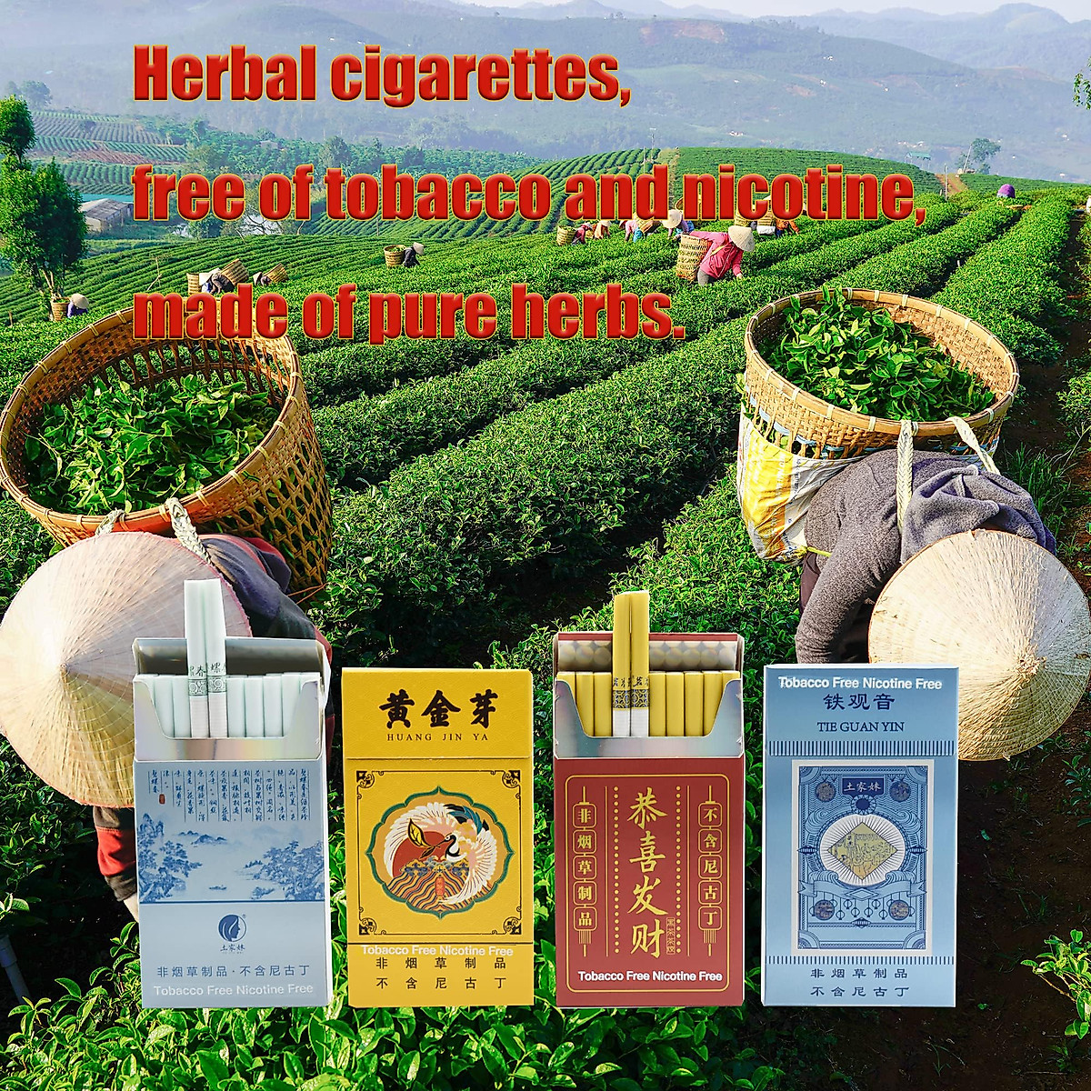 Wild Tea Herbal Cigarettes, Tobacco and Nicotine Free, 4 Packs, 80 Smokes