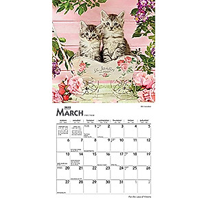 For the Love of Kittens 2022 7 x 7 Inch Monthly Mini Wall Calendar with Foil Stamped Cover, Animals Cats Feline